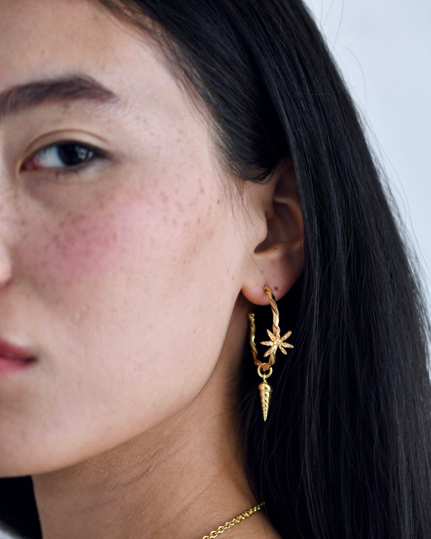 Buy Cinnamon & Shell Hoop Online - Ciceroni